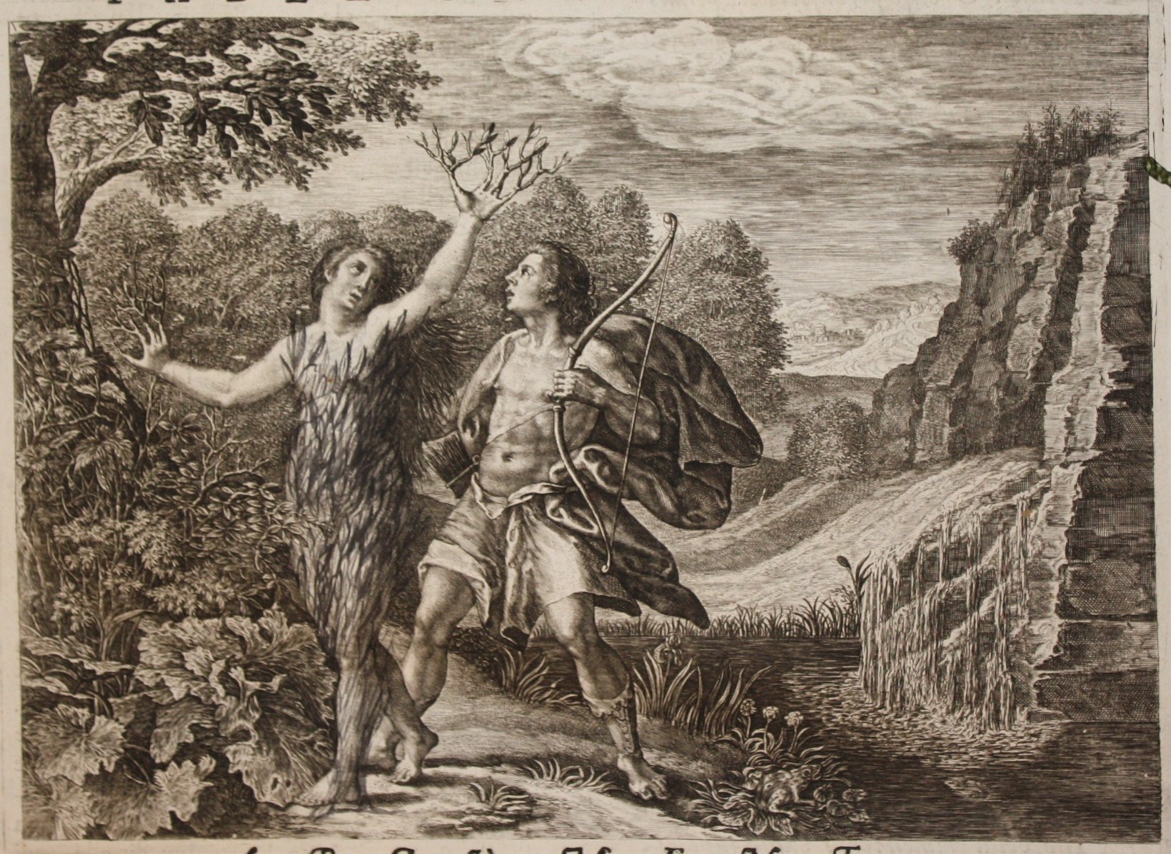 Metamorfosis – Un blog sobre bibliotecas, sobre libros y sobre Ovidio